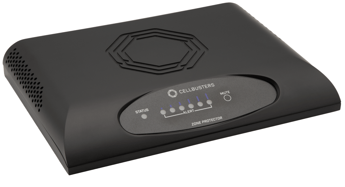 How Can Types of IDS Protect from Security Breaches?